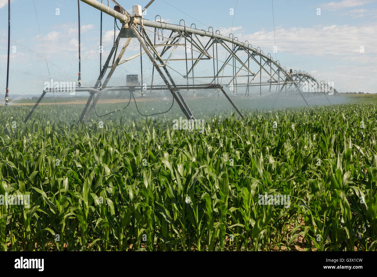 Center pivot irrigation corn hi-res stock photography and images - Alamy