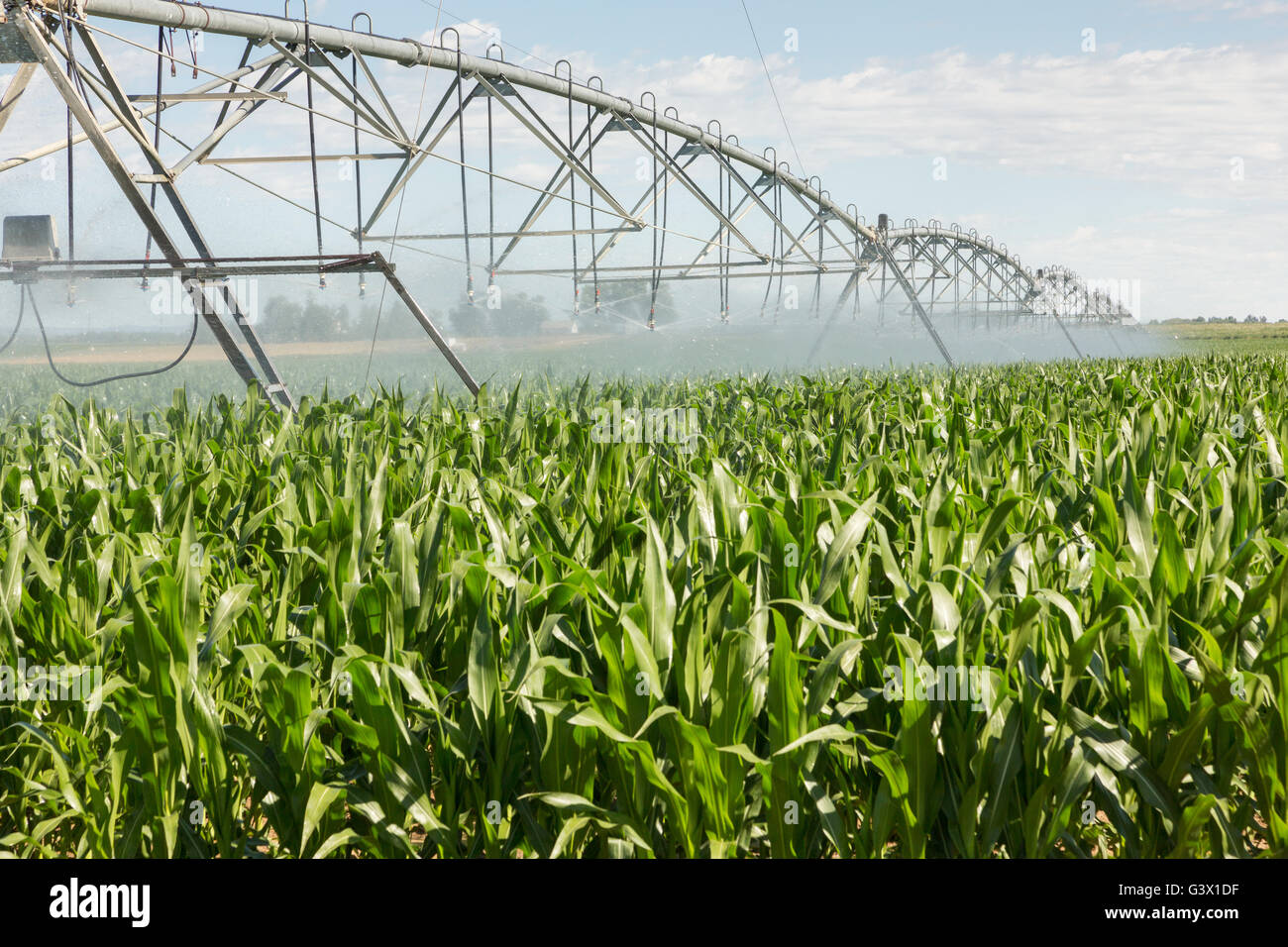 Center pivot irrigation america hi-res stock photography and images - Alamy