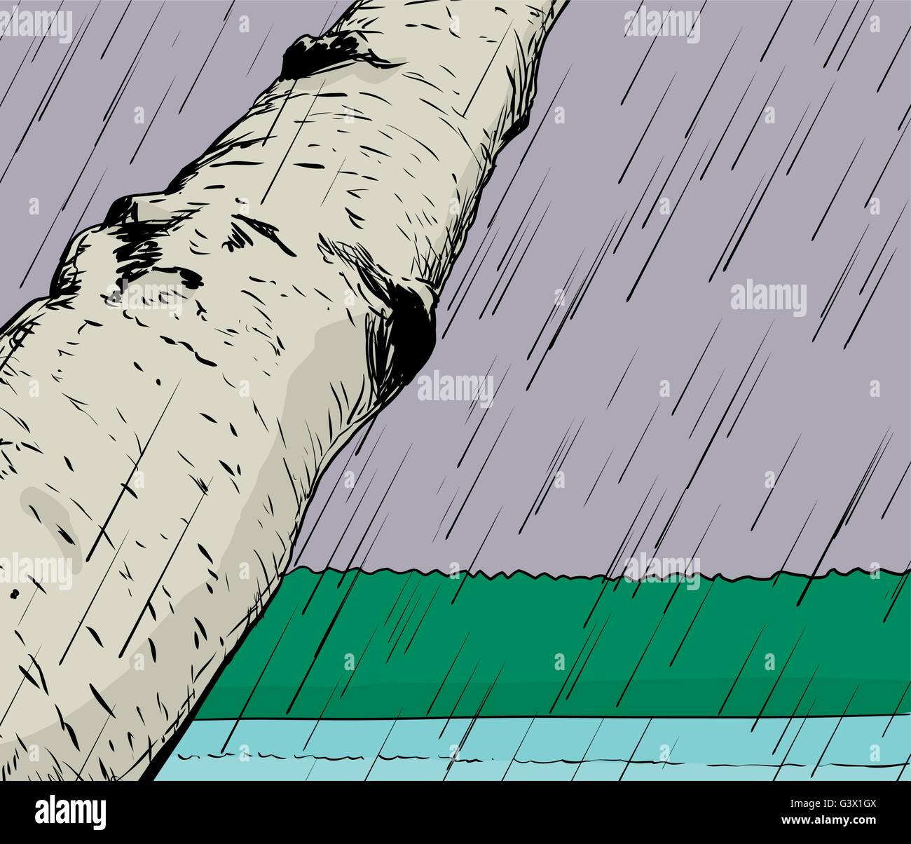 Nature background with forest, lake, birch tree and rain pouring down ...