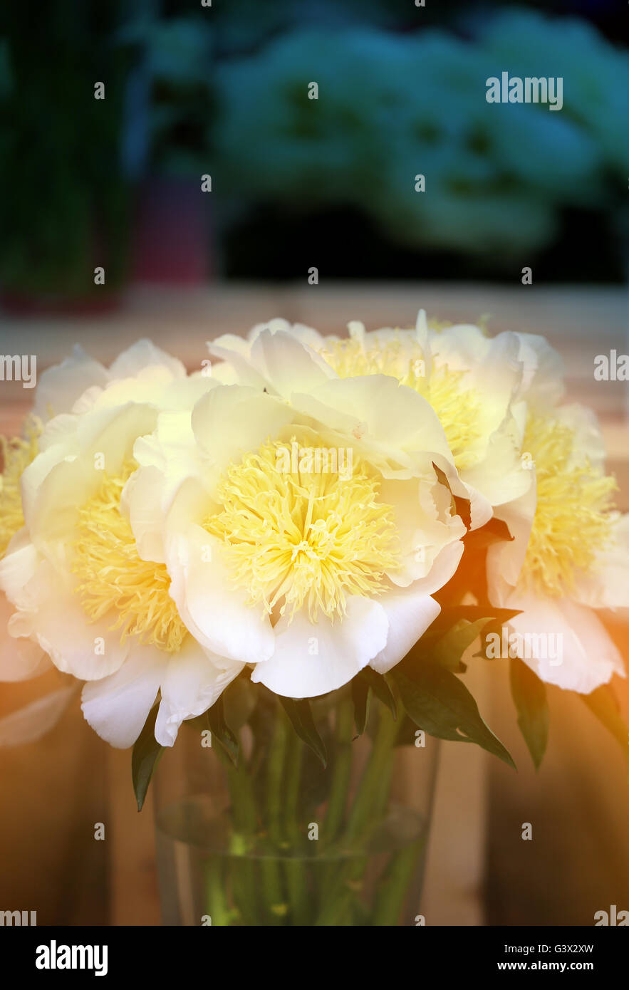 Photo retro beautiful peonies unusual natural background Stock Photo ...