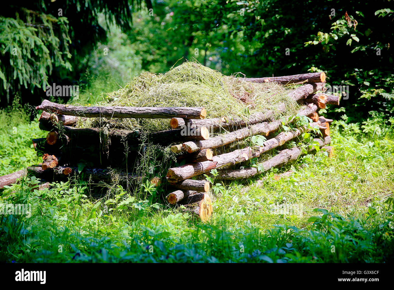 beautiful natural compost heap in woodland permaculture garden Stock ...