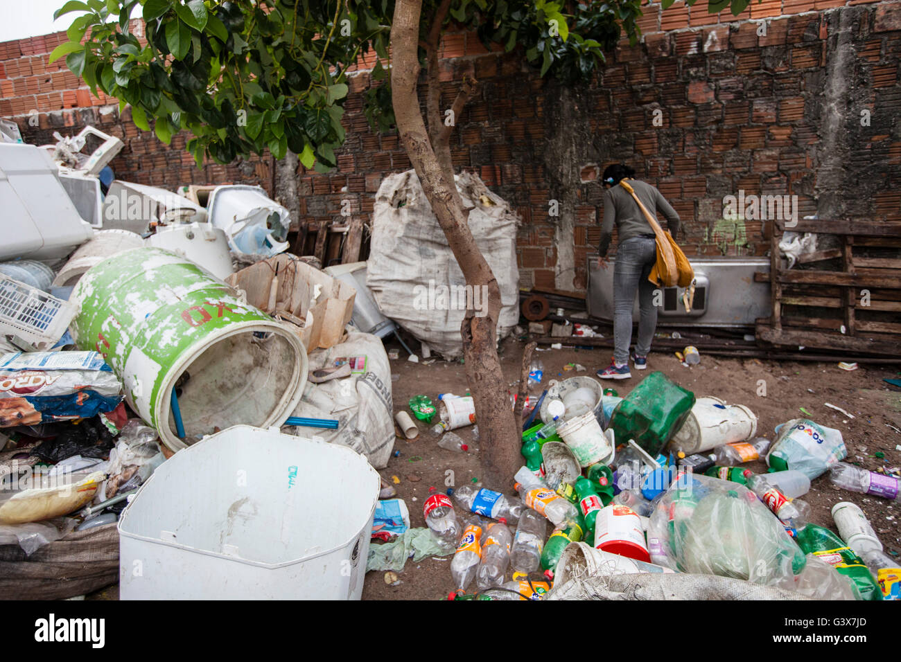 Entomology hi-res stock photography and images - Alamy