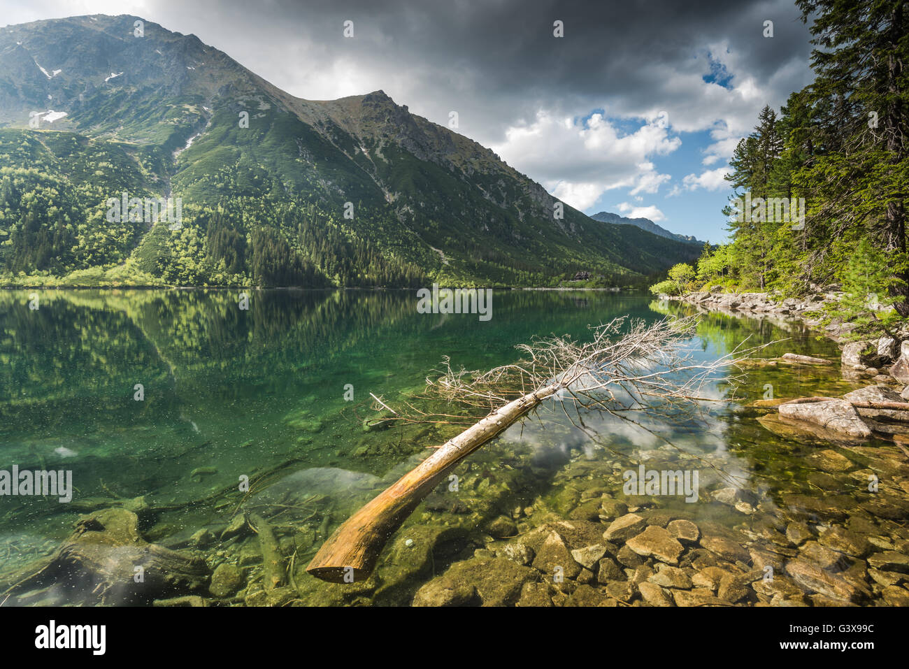 tranquil nature at lake in mountains, water reflection and fallen tree ...