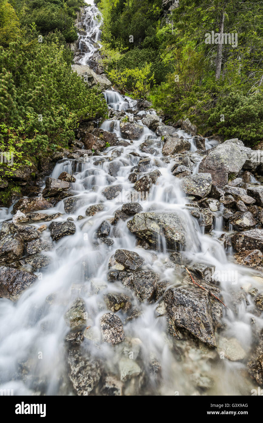 fast flowing wild waterfall in high mlountains Stock Photo - Alamy