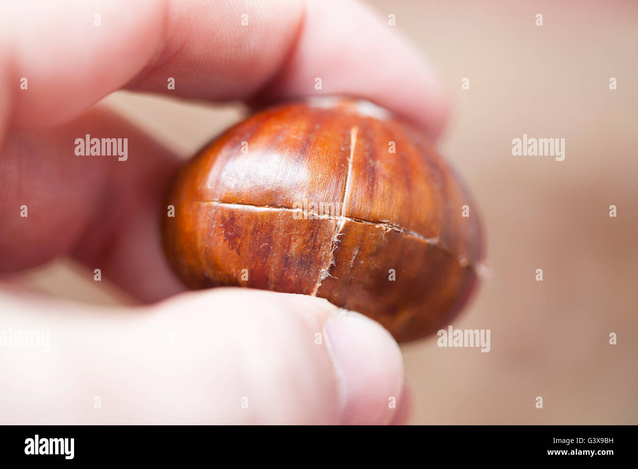 Hot chestnut hi-res stock photography and images - Alamy