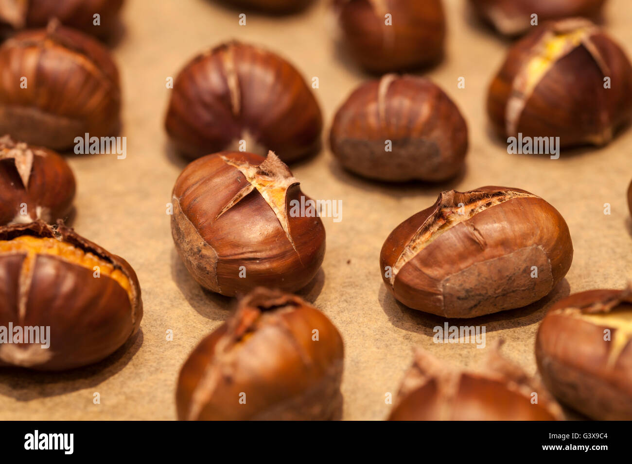 Hot chestnut hi-res stock photography and images - Alamy