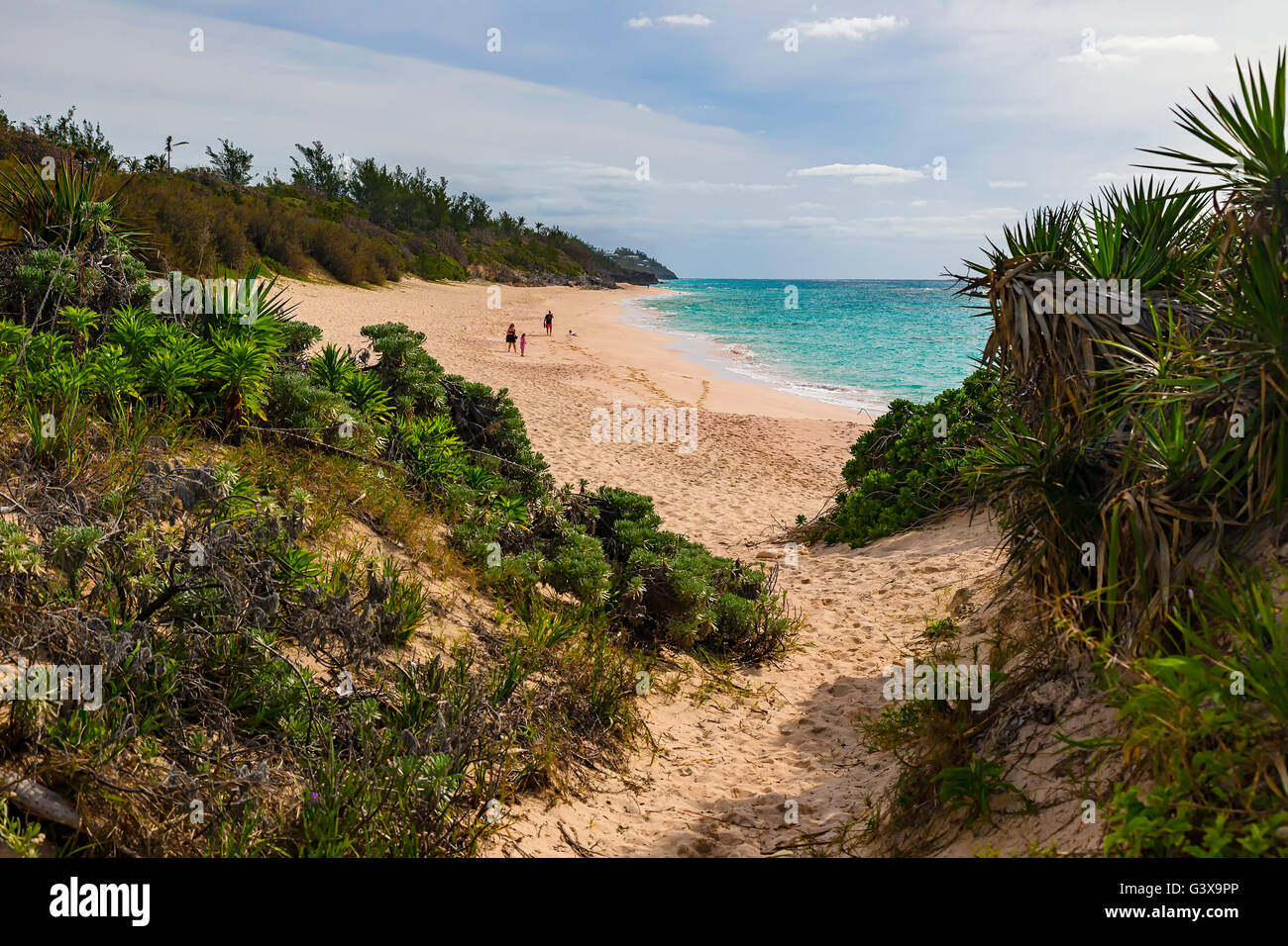 Warwick Long Bay Beach on Bermuda's south coast Stock Photo - Alamy