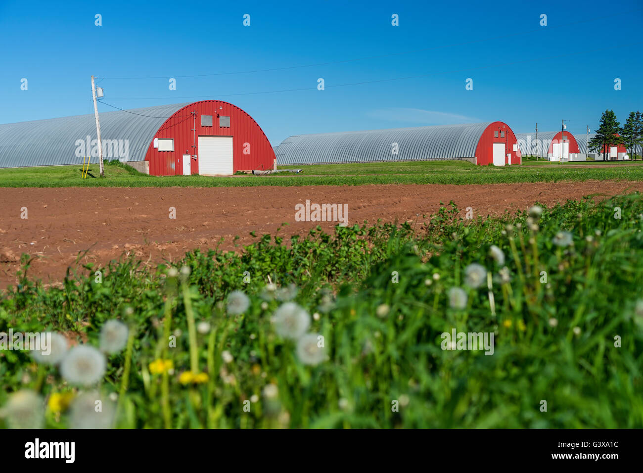 Potato storage hi-res stock photography and images - Alamy