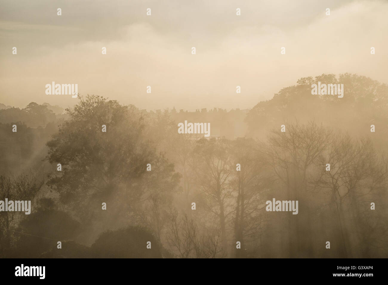 Early Morning Mist Stock Photo - Alamy
