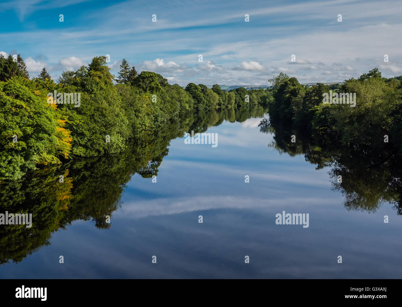 Tweed valley forest park hi-res stock photography and images - Alamy