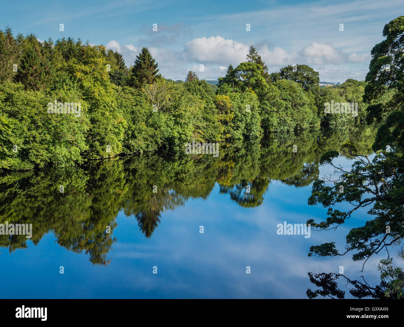 Tweed valley forest park hi-res stock photography and images - Alamy