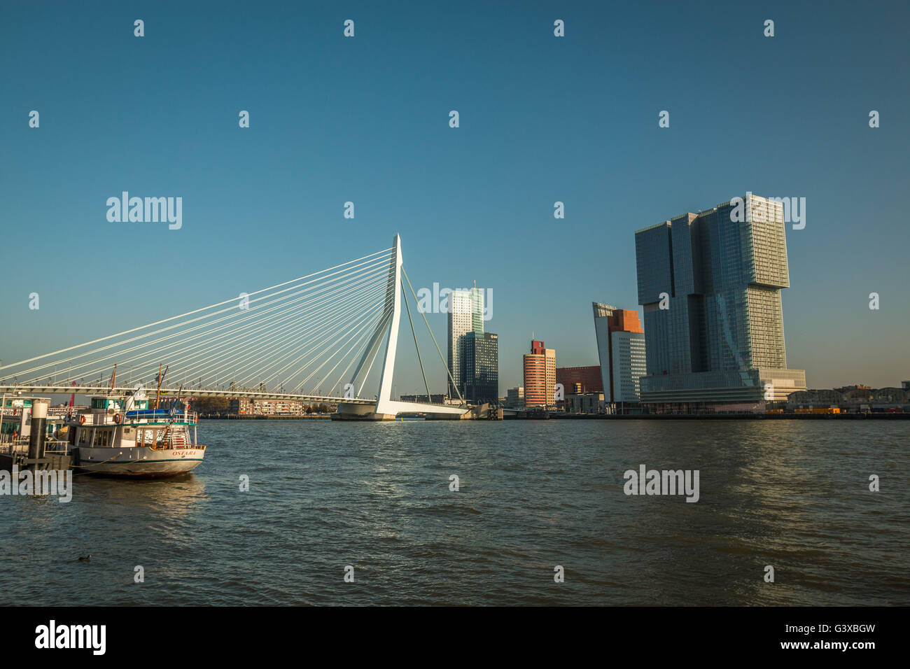 Erasmus Bridge in Rotterdam Netherlands Stock Photo - Alamy