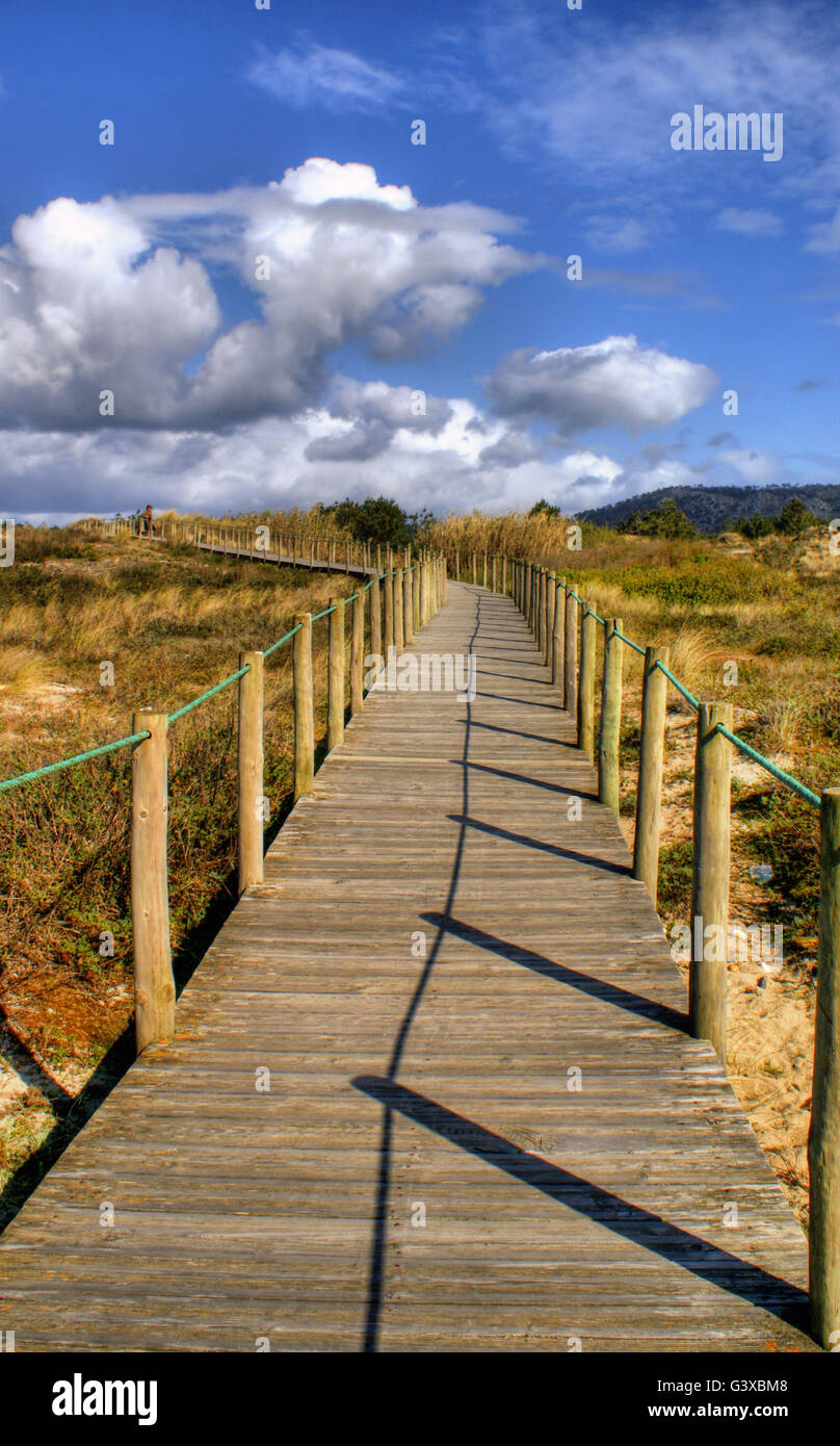 Wooden plank paths hi-res stock photography and images - Alamy
