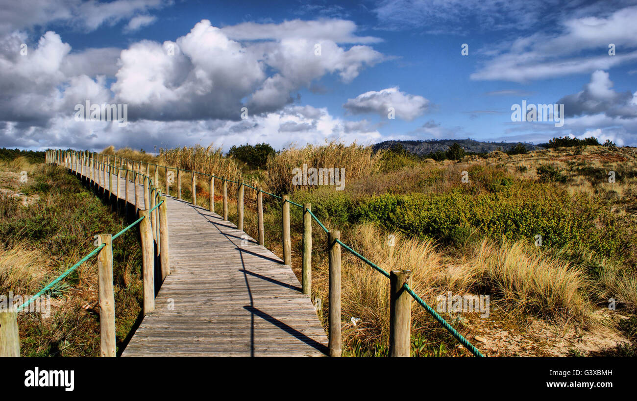 Paths on the beach in Portugal Stock Photo - Alamy