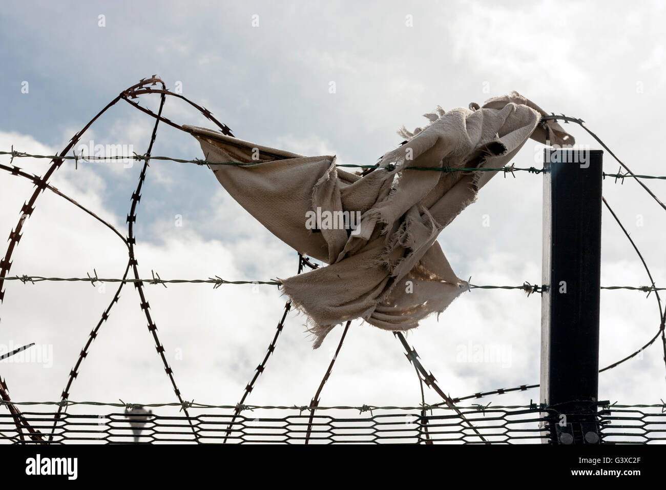 Cloth Ripped on Barbed Wire Fence Stock Photo - Alamy