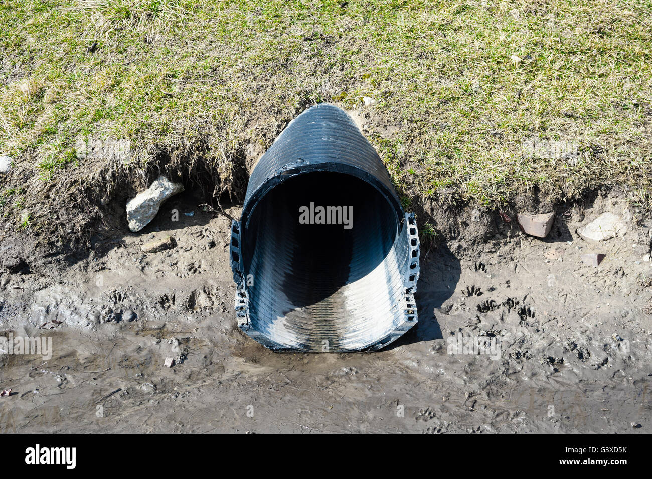 Dirty black plastic pipe emerging from grass into wet mud Stock Photo ...