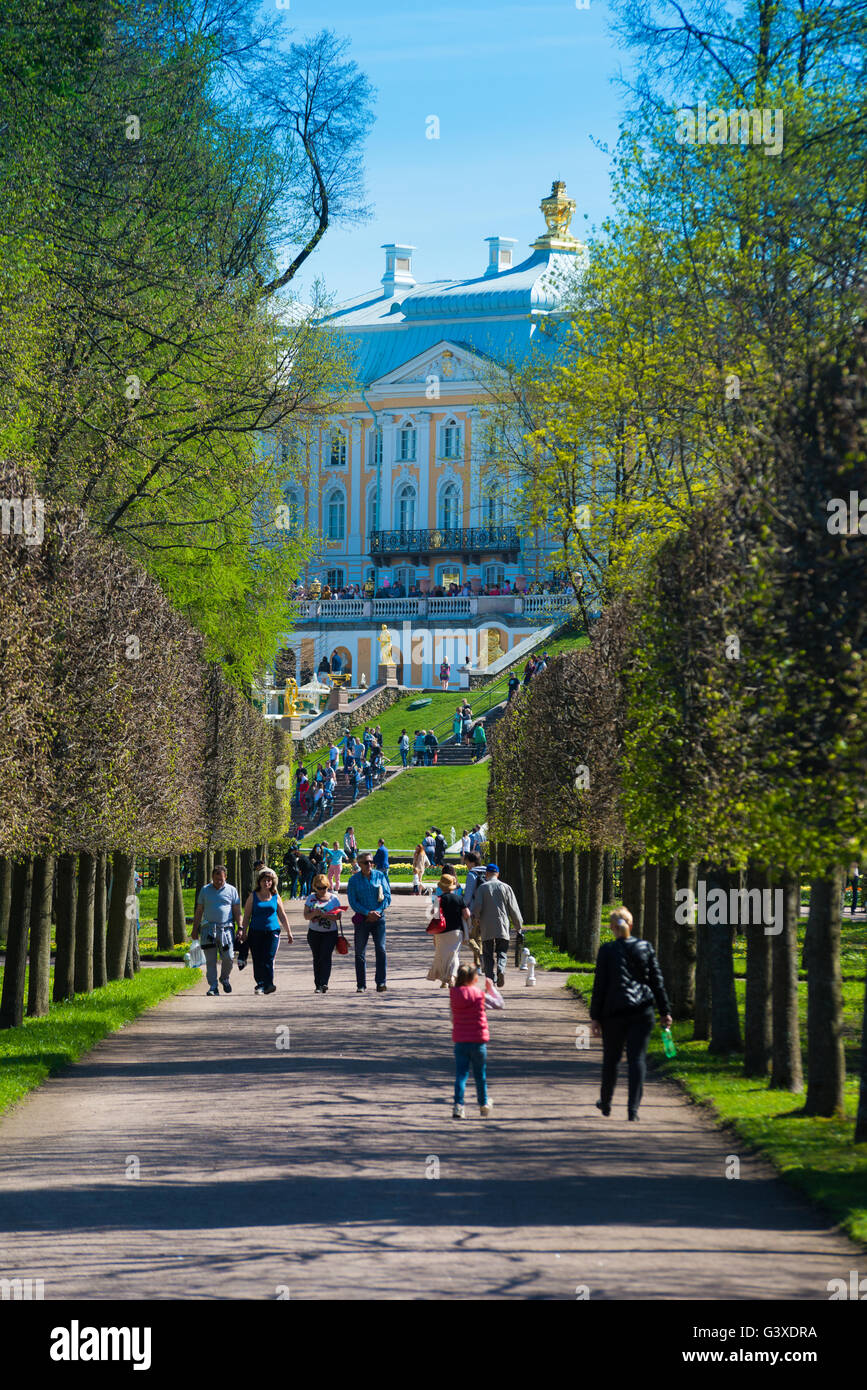 Fountains peter summer palace petrodvorets hi-res stock photography and ...