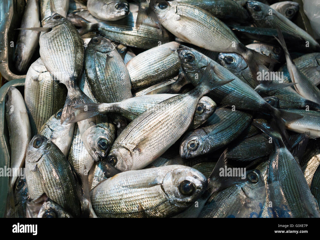 Plenty of fish hi-res stock photography and images - Alamy