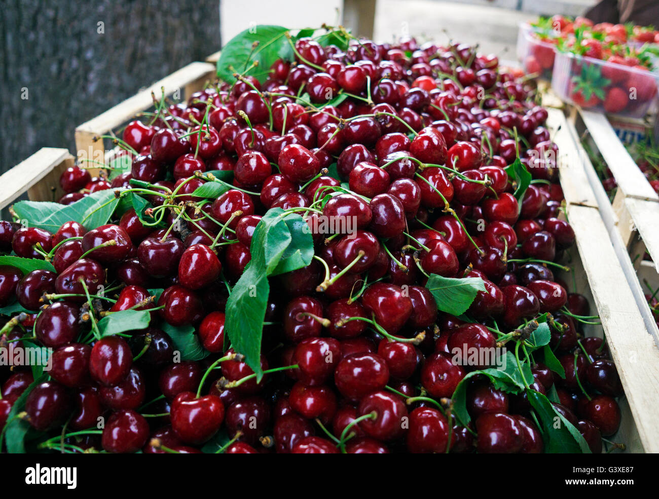 Cherry fruits at the market place Stock Photo - Alamy