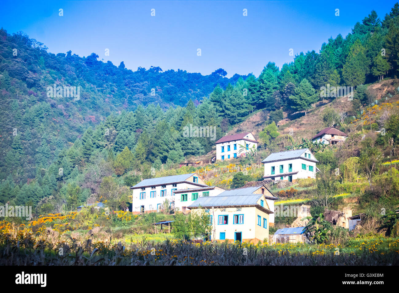 Traditional style beautiful houses of Nepali village near the forest in ...