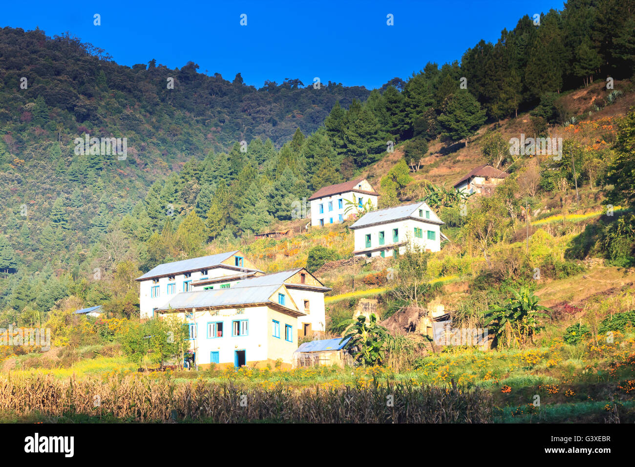Traditional style beautiful houses of Nepali village near the forest in ...