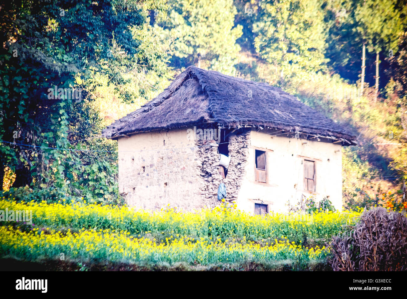 Traditional style beautiful houses of Nepali village near the forest in ...