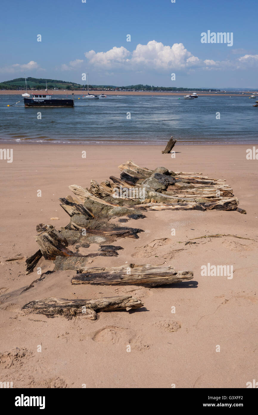 River Exe Estuary with old boat remains on Dawlish Warren, Devon, UK ...