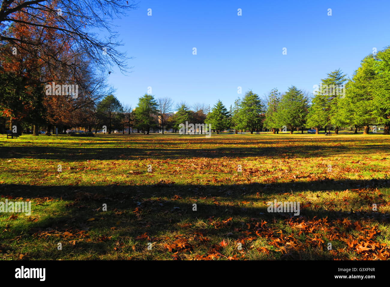 Canberra grass hi-res stock photography and images - Alamy