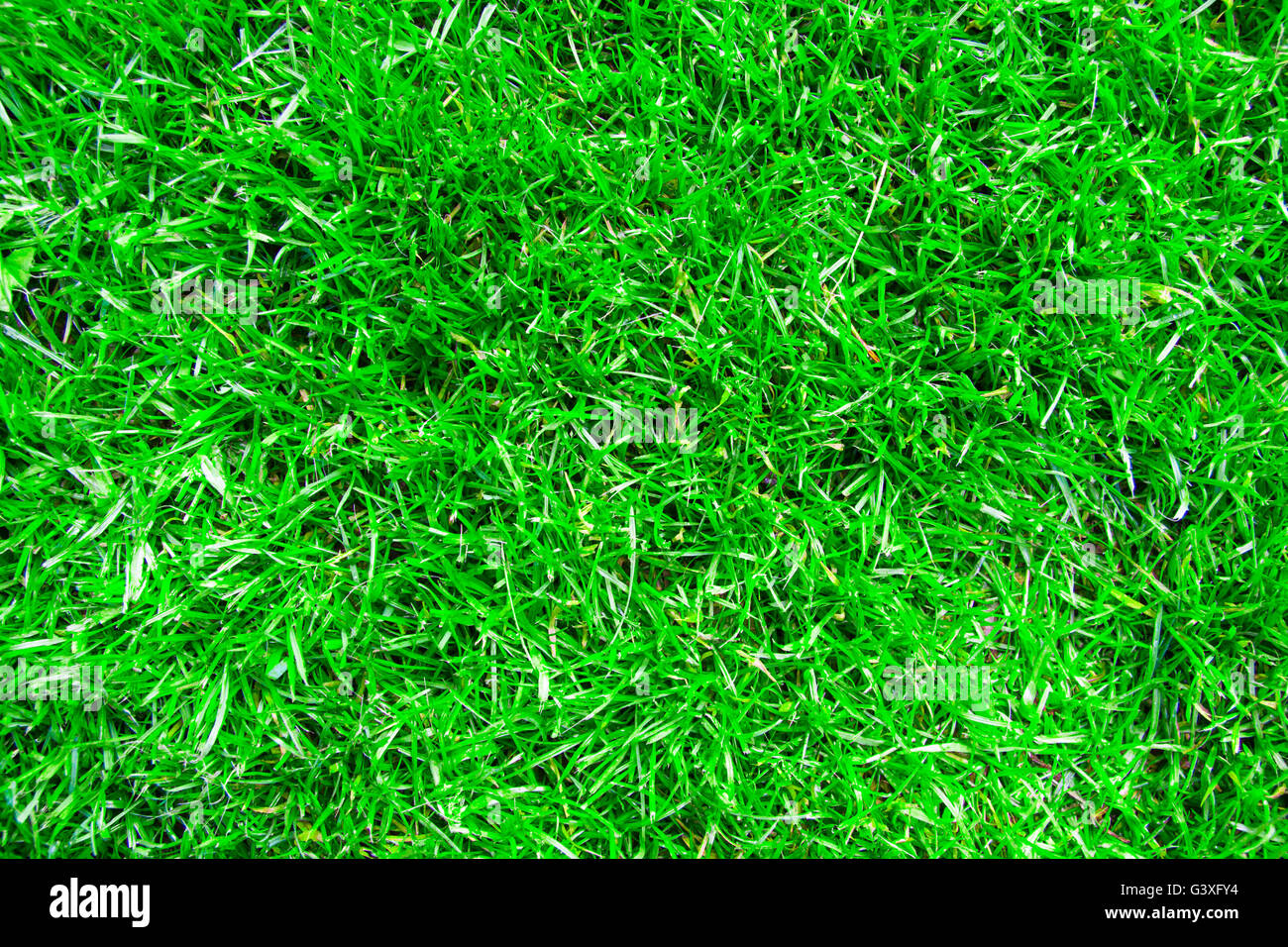 Backgroun green hi-res stock photography and images - Alamy