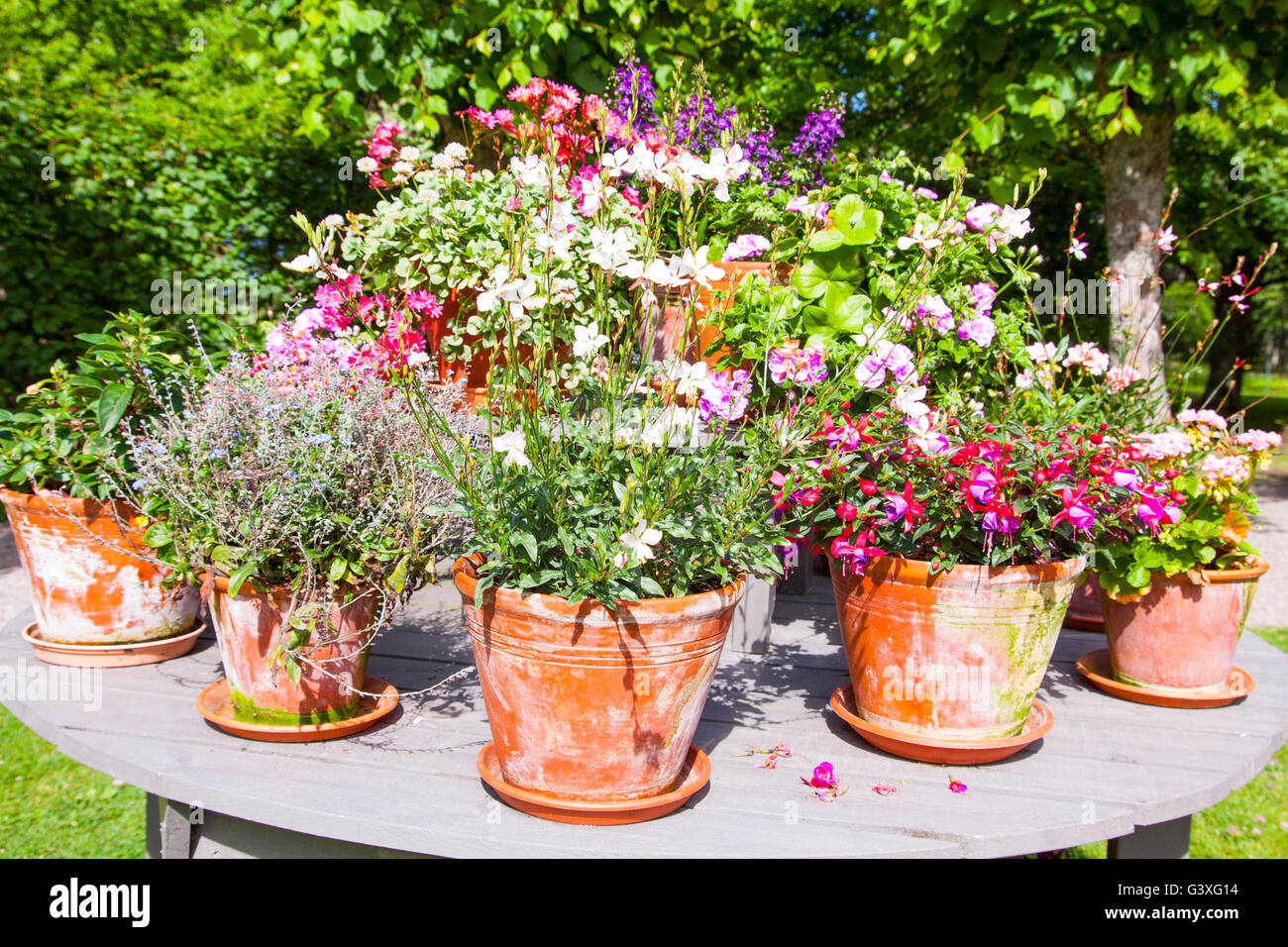 Vintage flower pots hi-res stock photography and images - Alamy