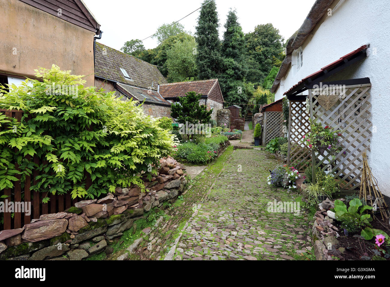 An ancient cobbled back street in the picturesque village of Cockington ...