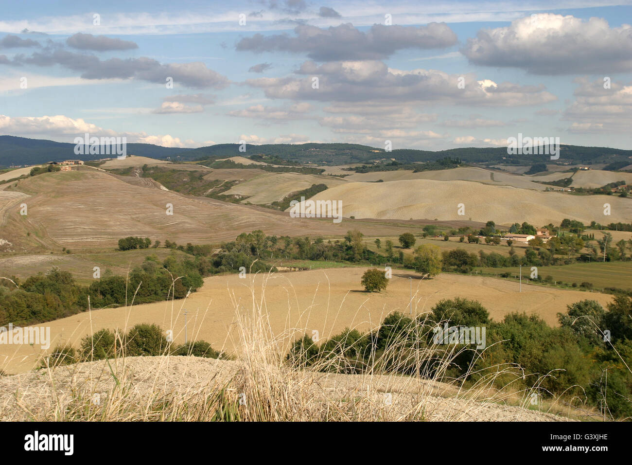 a beautiful view of the "Colli Senesi", Tuscany, Italy Stock Photo - Alamy