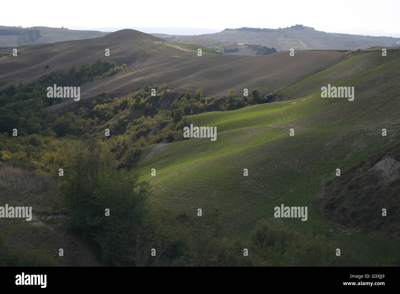 Colli senesi hi-res stock photography and images - Alamy
