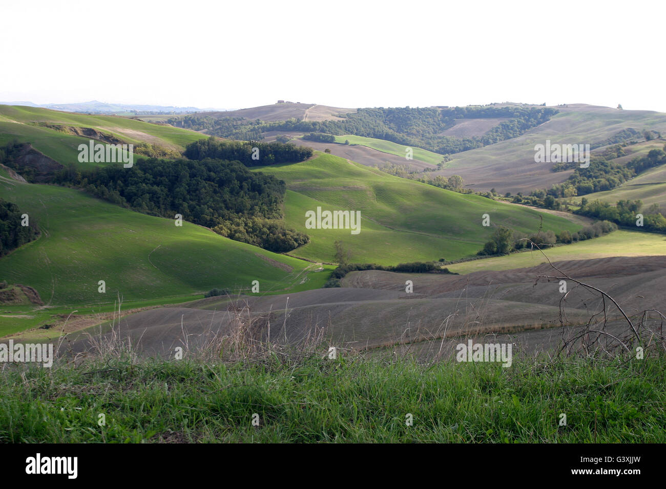 a beautiful view of the "Colli Senesi", Tuscany, Italy Stock Photo - Alamy