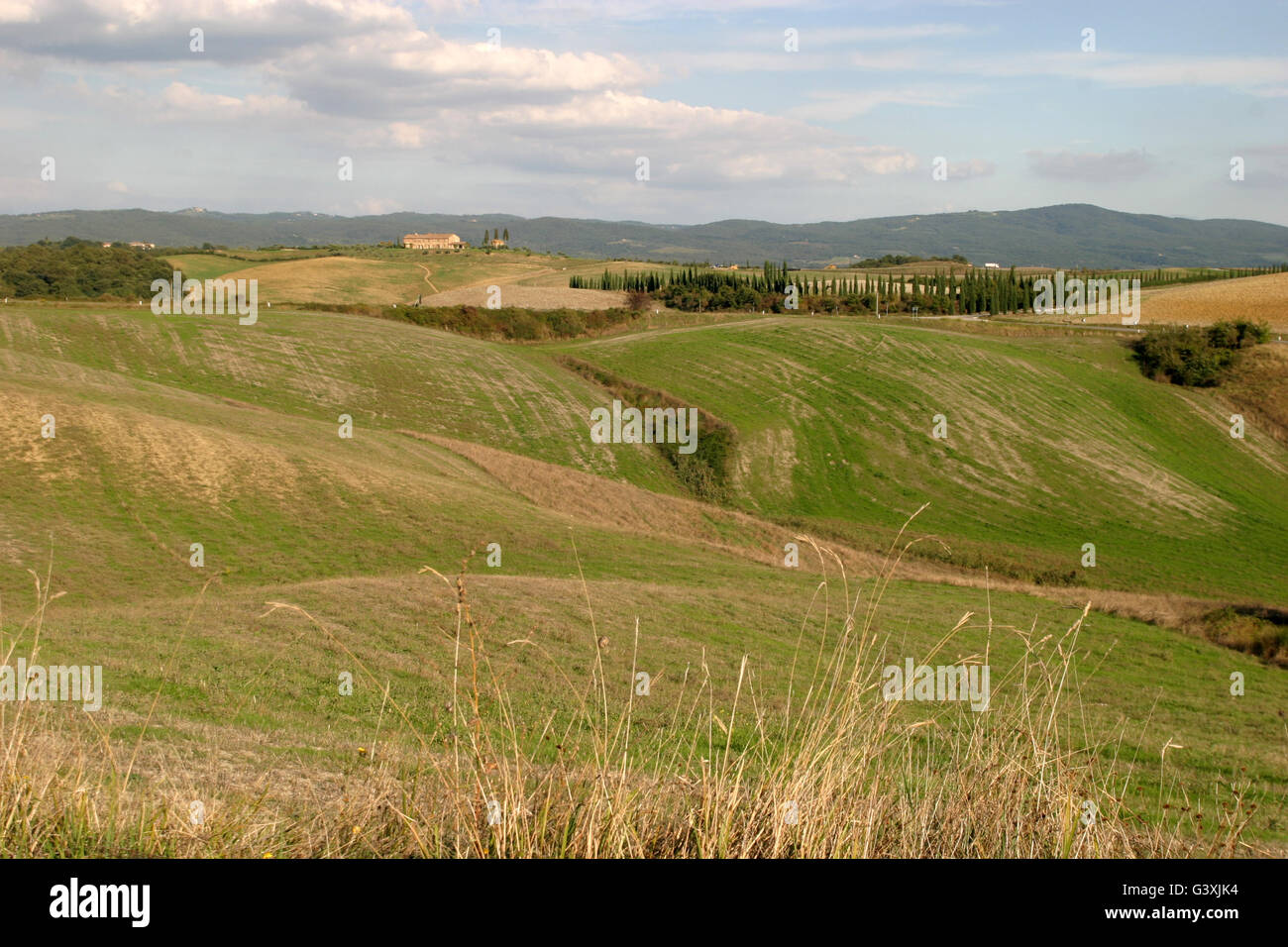a beautiful view of the "Colli Senesi", Tuscany, Italy Stock Photo - Alamy