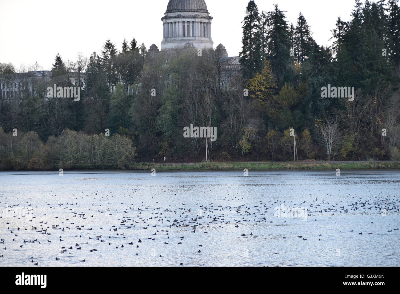 Capitol building, Olympia, WA capitol lake in fall season Stock Photo ...