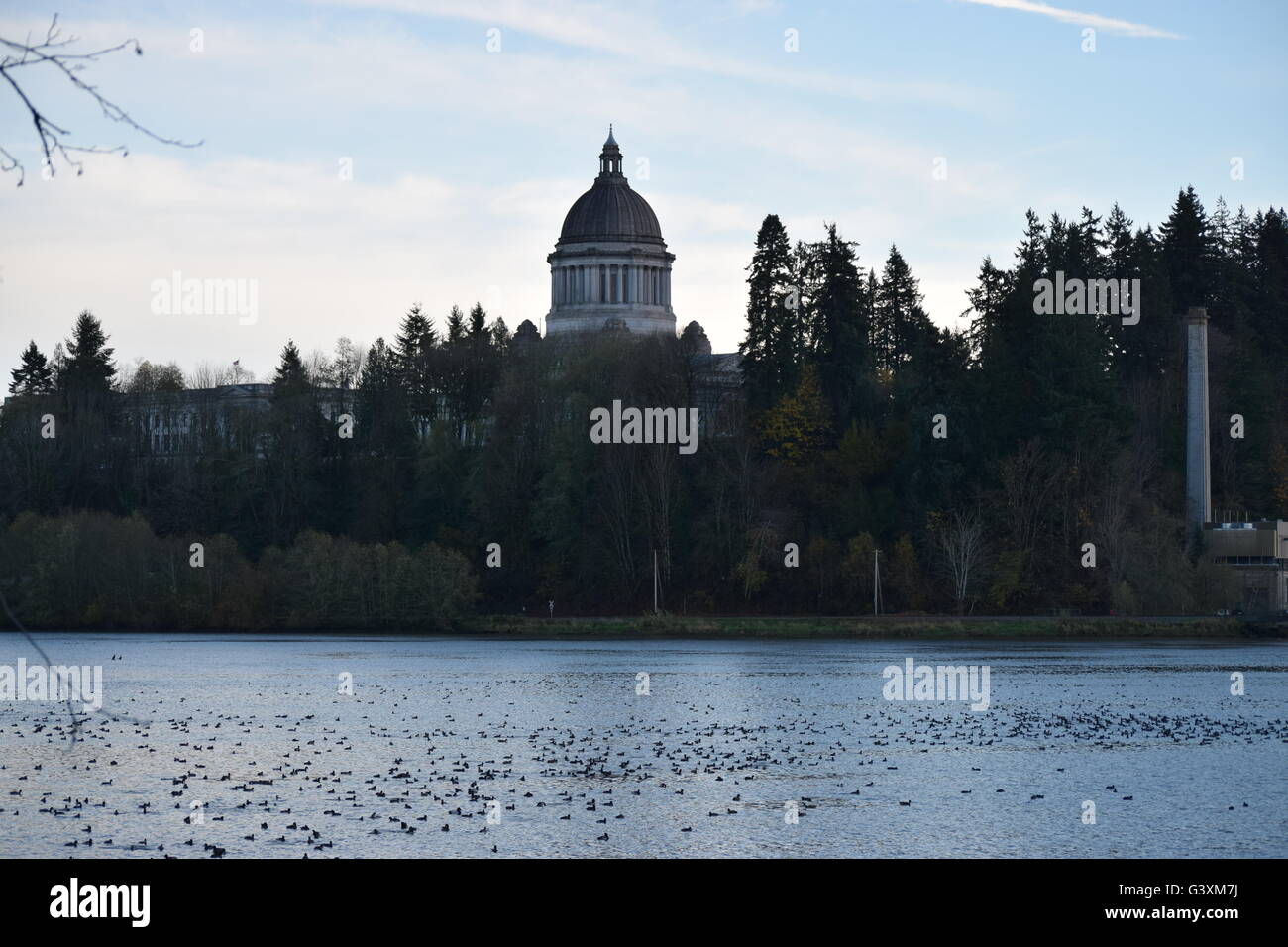 Capitol building, Olympia, WA capitol lake in fall season Stock Photo ...