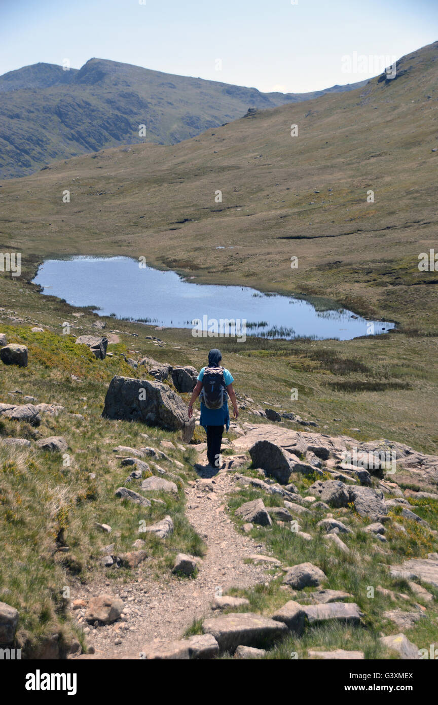 Lady walking in central park hi-res stock photography and images - Alamy
