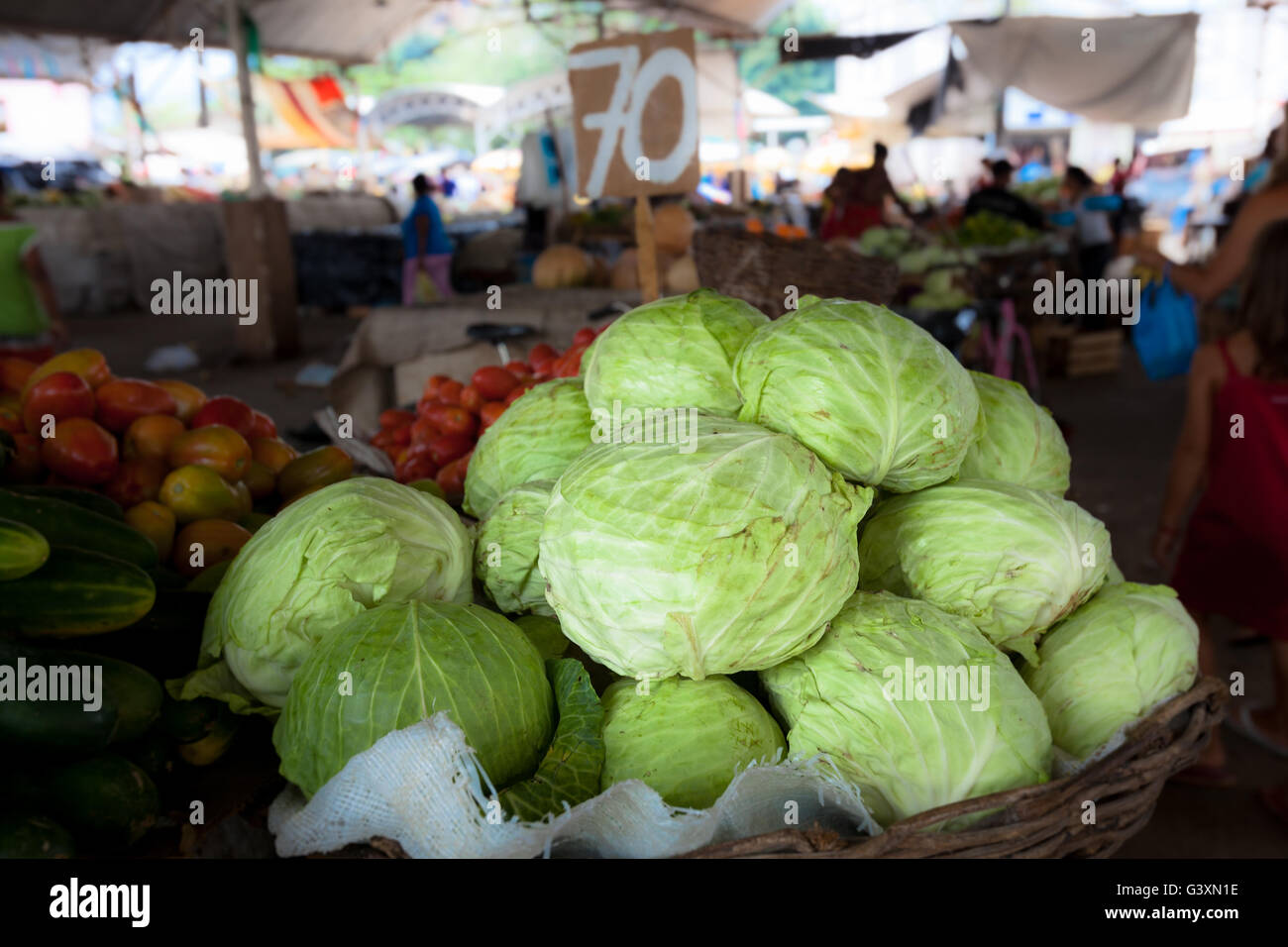 Cabbage in the market, Salvador de bahia, Brazil Stock Photo - Alamy