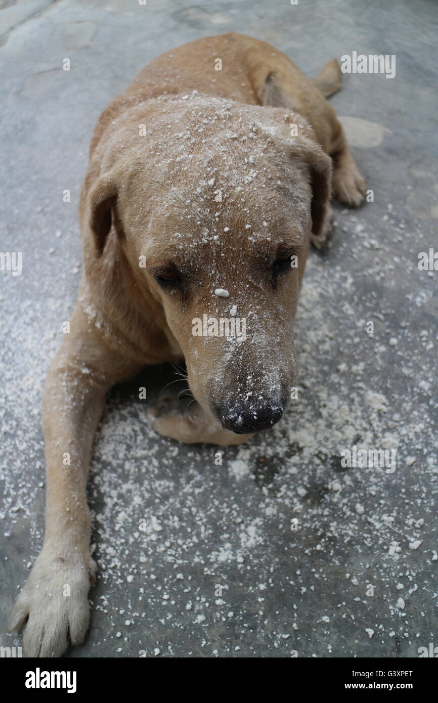Top down shot hi-res stock photography and images - Alamy