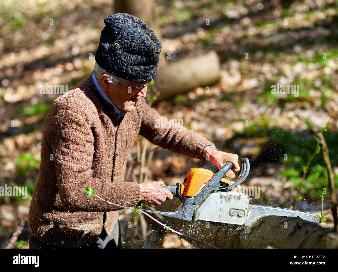 Old man cutting log with chainsaw hi-res stock photography and images ...