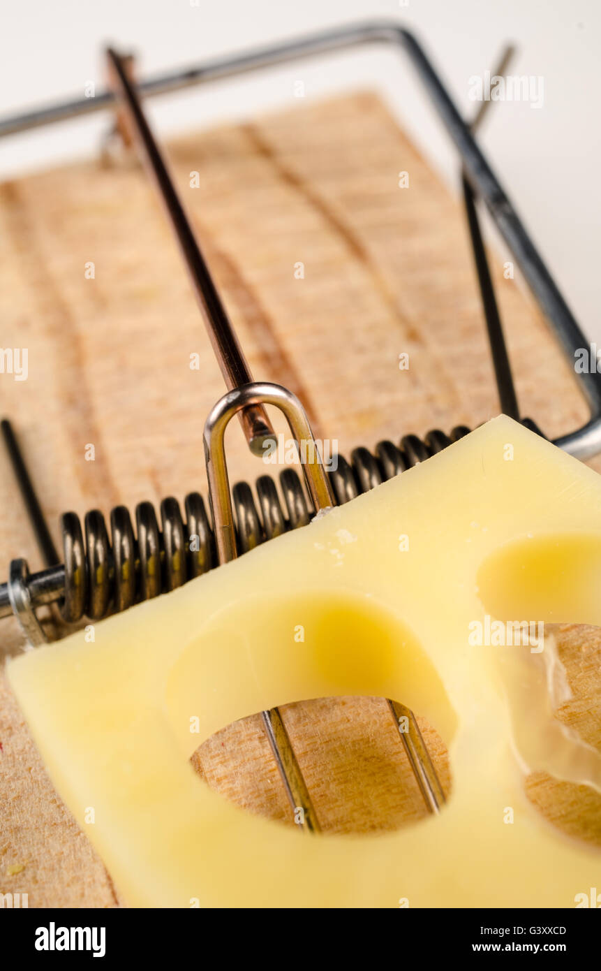 Cheese on a mouse trap, a conceptual shot Stock Photo - Alamy