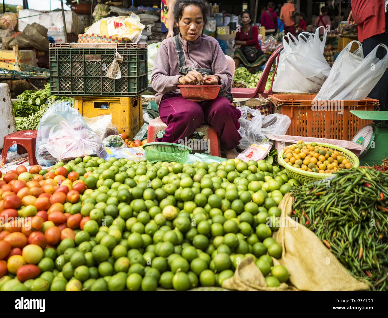 Pakse, Champasak, Laos. 16th June, 2016. A woman sells tomato, limes ...