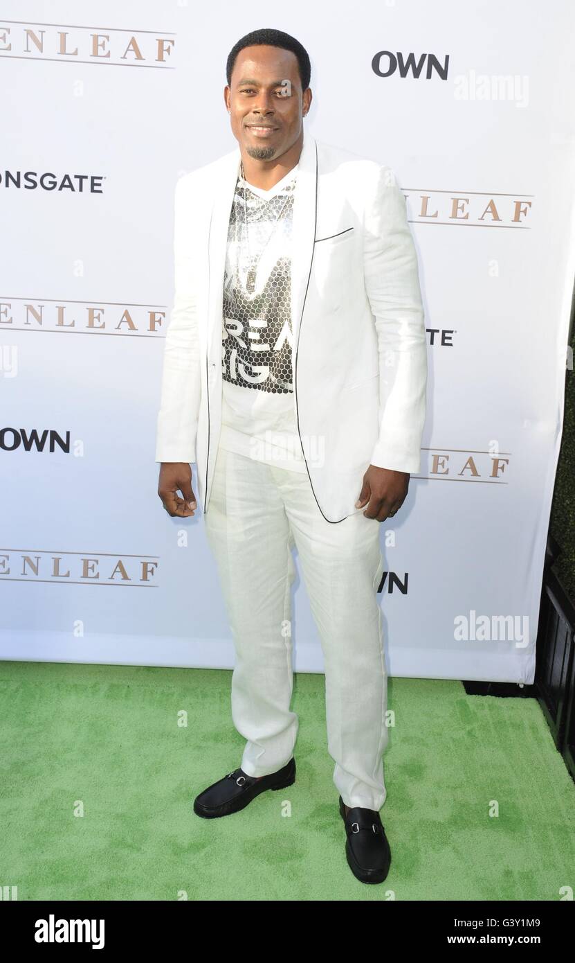 Los Angeles, CA, USA. 15th June, 2016. Lamman Rucker at arrivals for ...