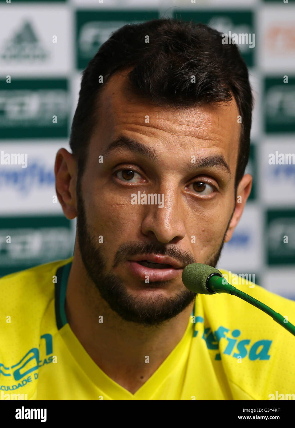 SAO PAULO, Brazil - 06/16/2016: COLLECTIVE EDU DRACENA PALM TREES - The ...
