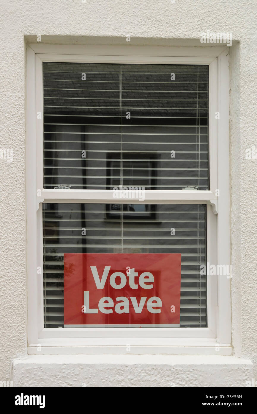 Sign " vote leave " behind a window in Cornwall, England. © Juergen ...