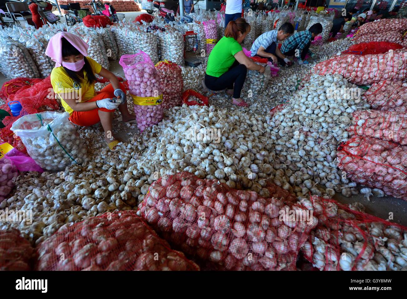 Jinxiang hi-res stock photography and images - Alamy