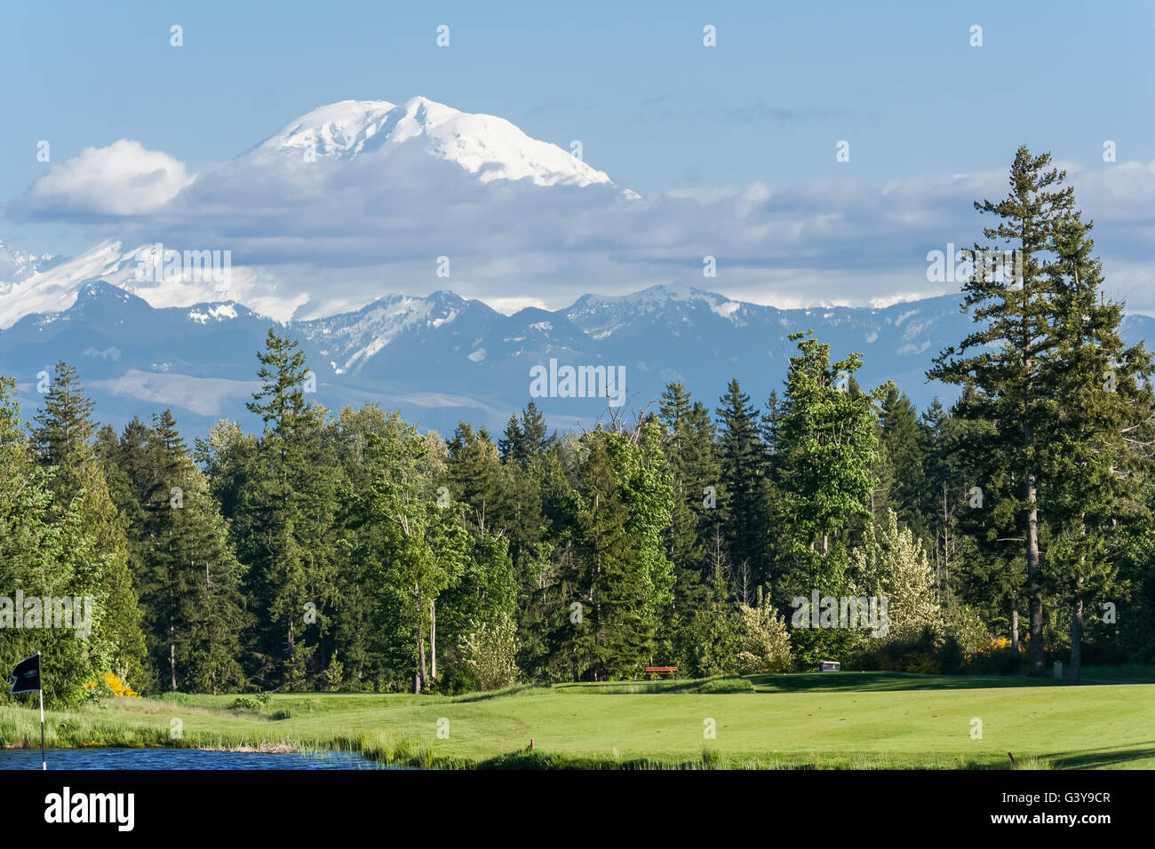 View of Mount Rainier summit, Washington, USA Stock Photo - Alamy