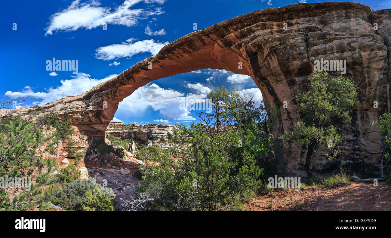 Owachomo bridge in Natural Bridges National Monument, Utah, USA Stock ...