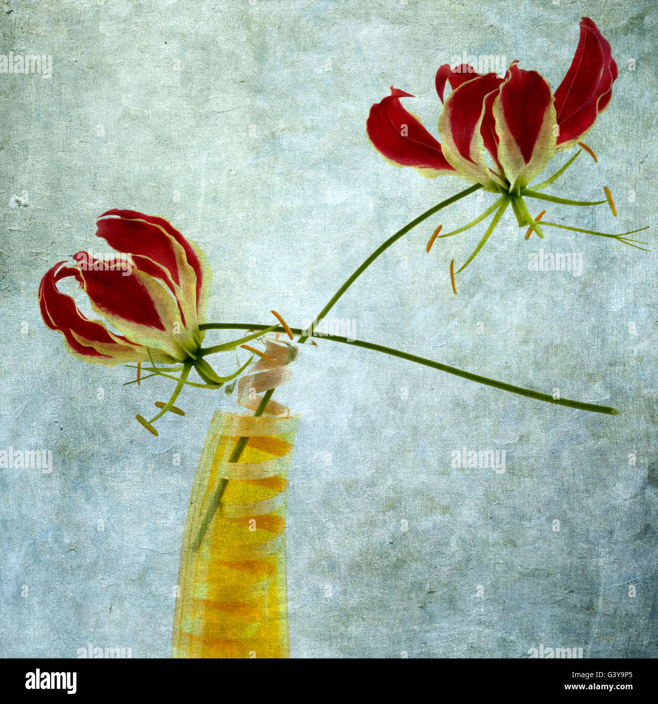Vintage flowers red hi-res stock photography and images - Alamy